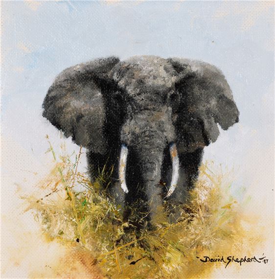 David Shepherd | Elephant Marching (1987) | MutualArt