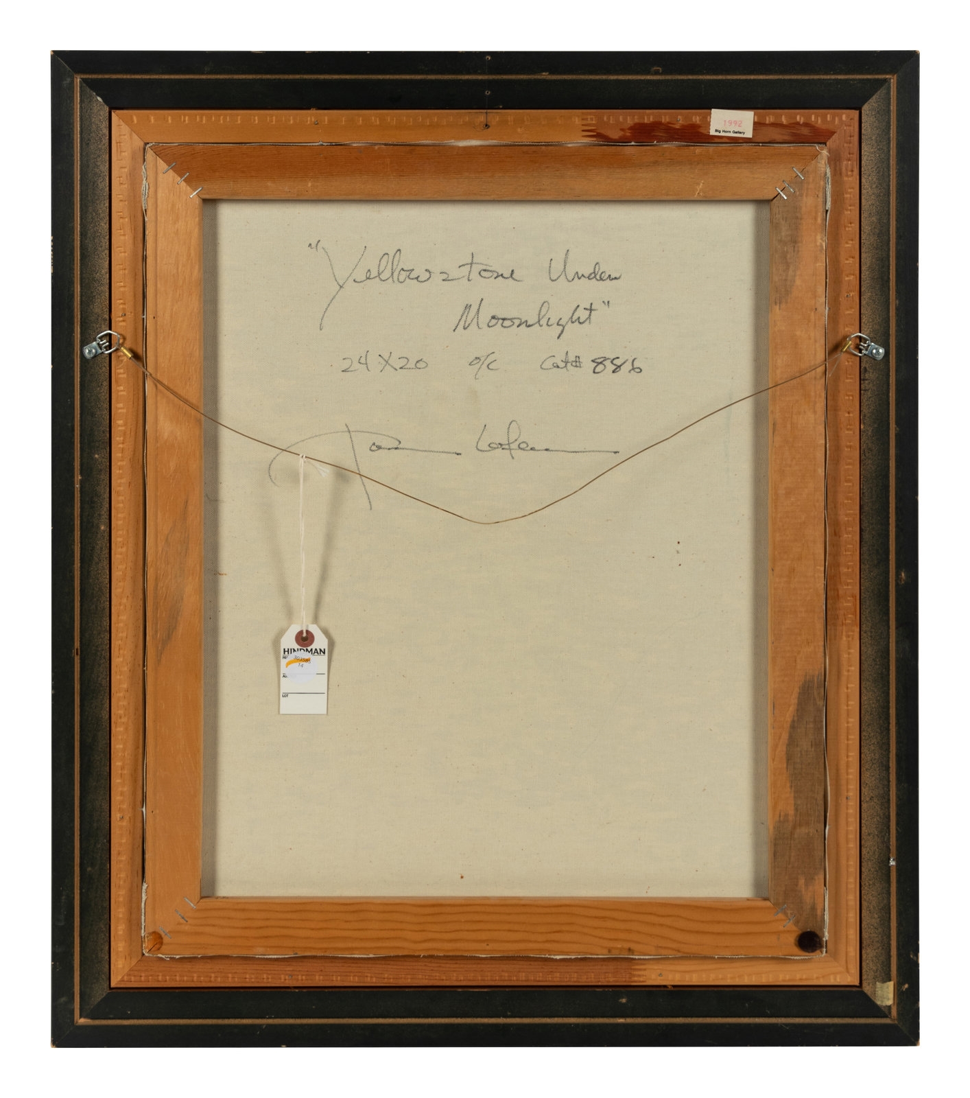 James Coleman | Yellowstone Under Moonlight | MutualArt