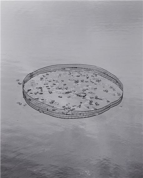 Daniel Shea | Pond II, 2017 (2017) | MutualArt