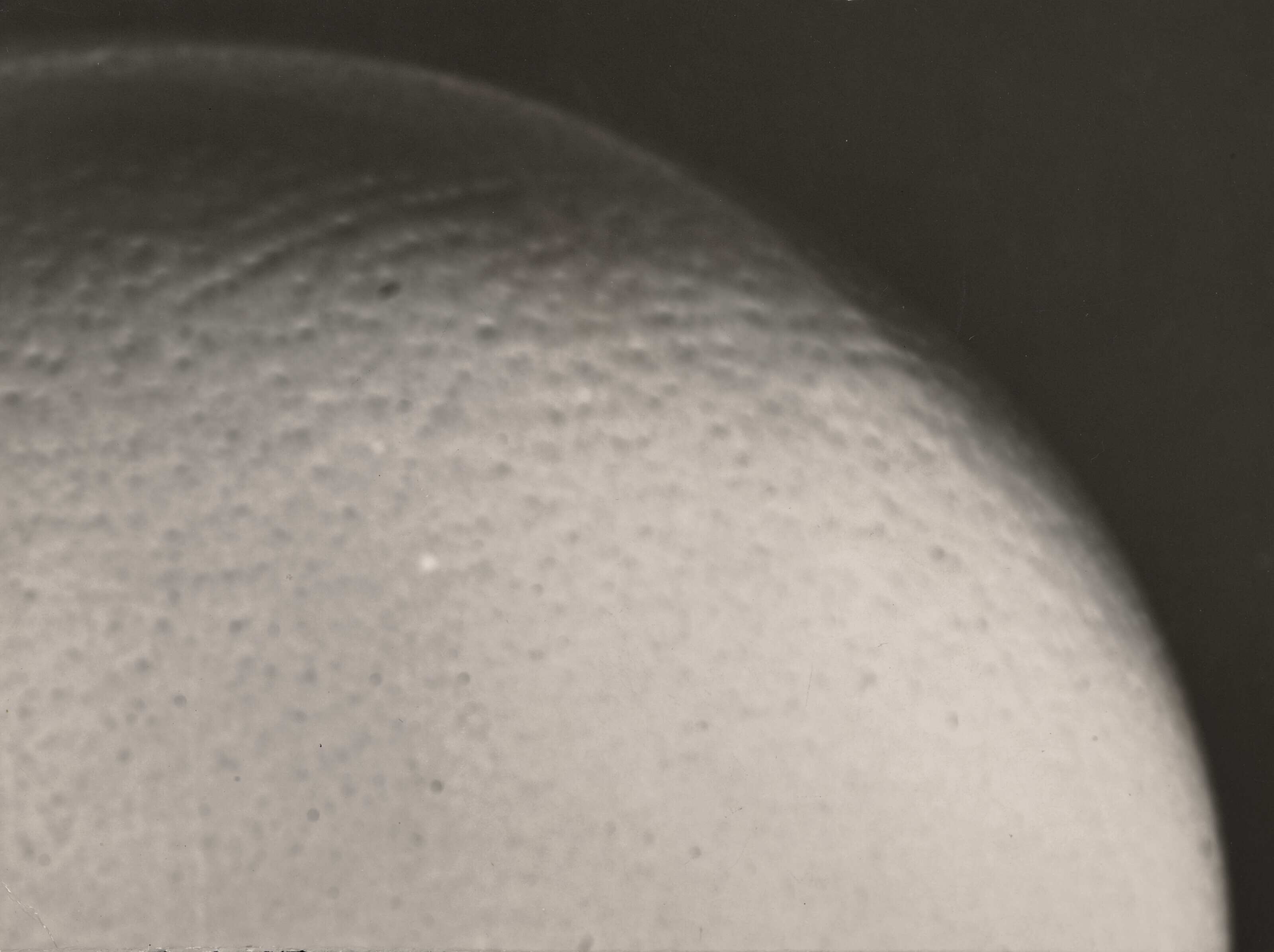 Man Ray | Ostrich Egg, 1944 | MutualArt