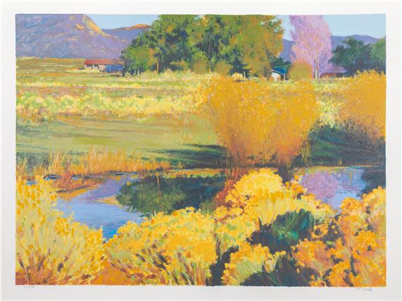 Ray Vinella | Southwest Textures | MutualArt