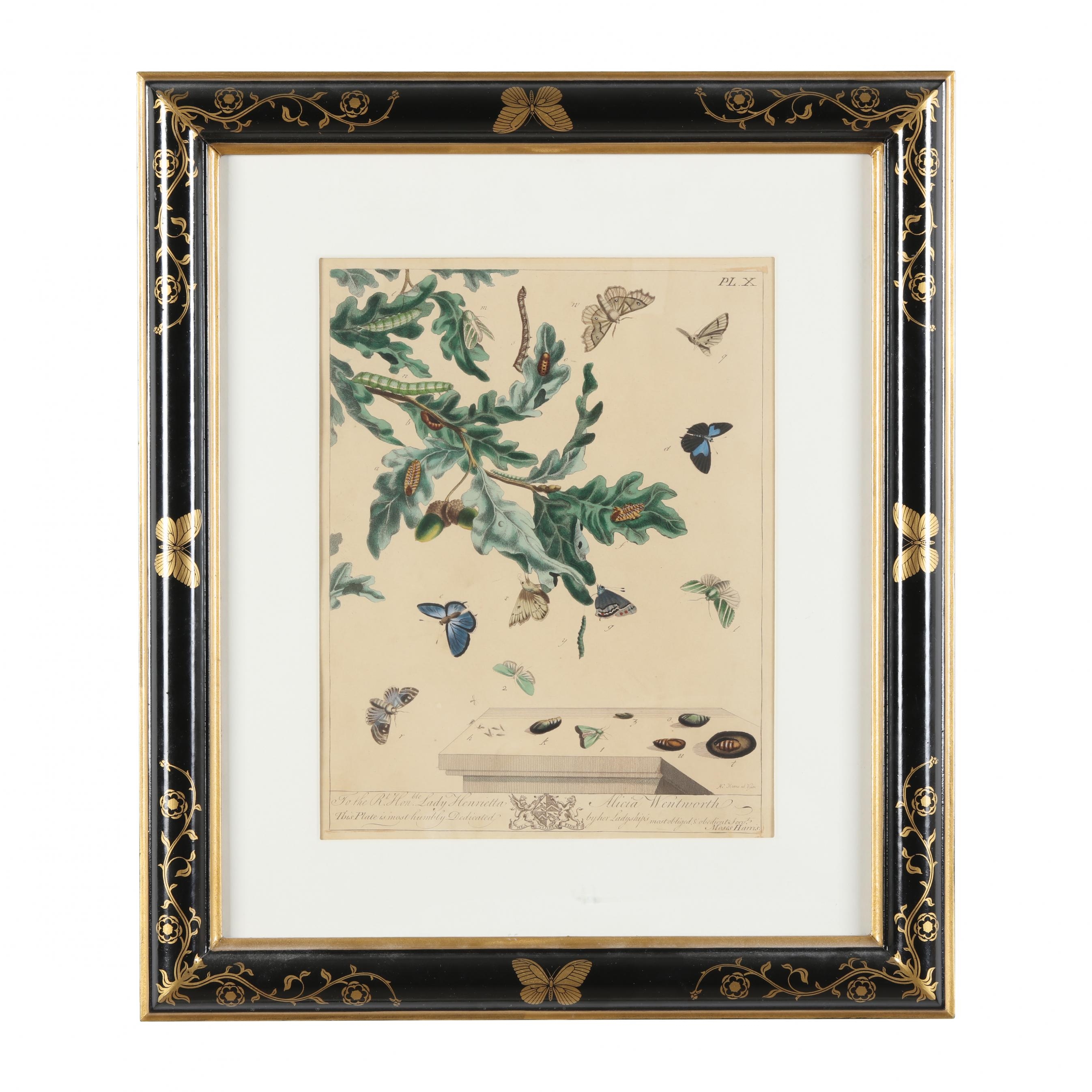 Moses Harris | Six Plates from The Aurelian, A Natural History of ...