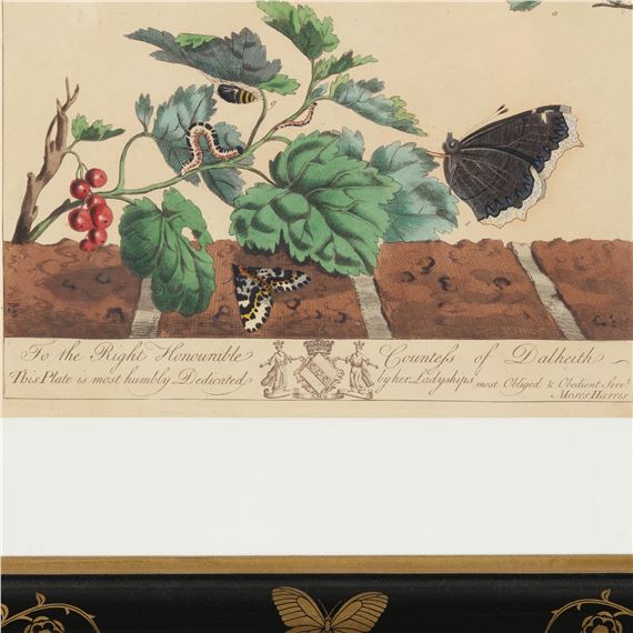 Moses Harris | Six Plates from The Aurelian, A Natural History of ...