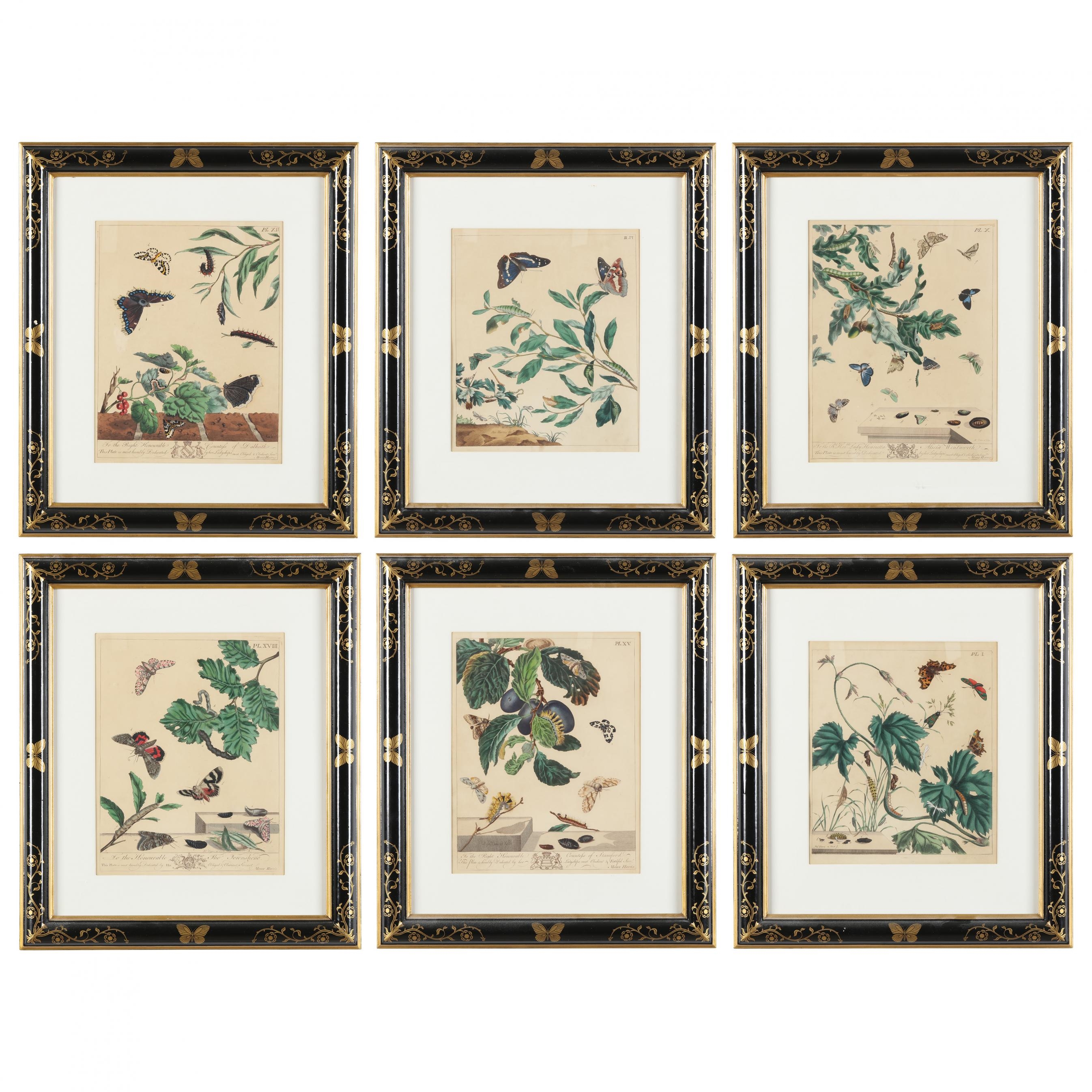 Moses Harris | Six Plates from The Aurelian, A Natural History of ...