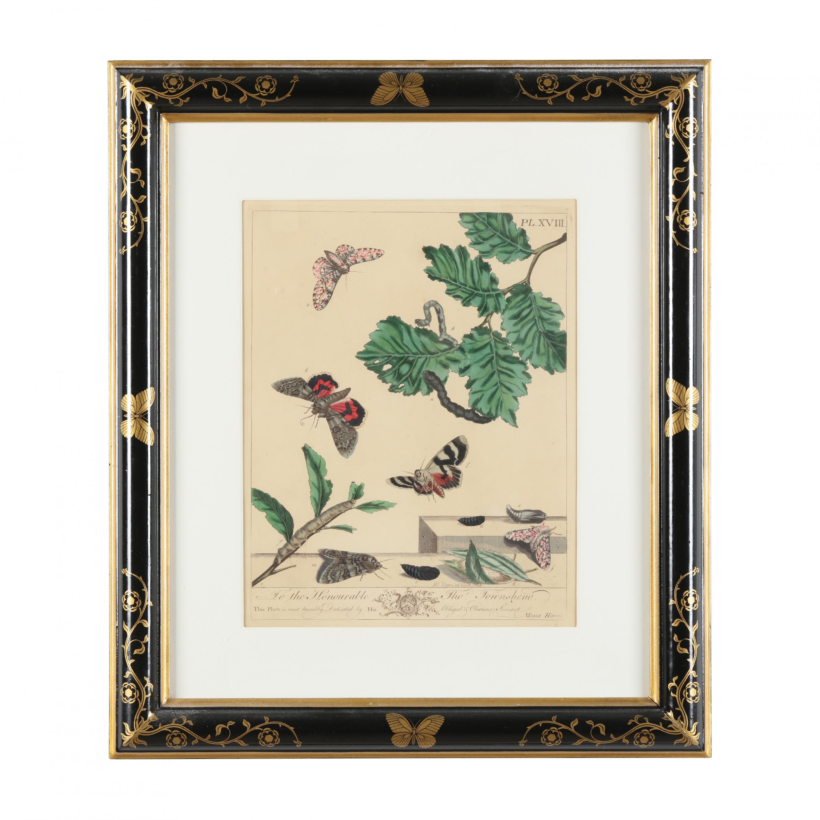 Moses Harris | Six Plates from The Aurelian, A Natural History of ...