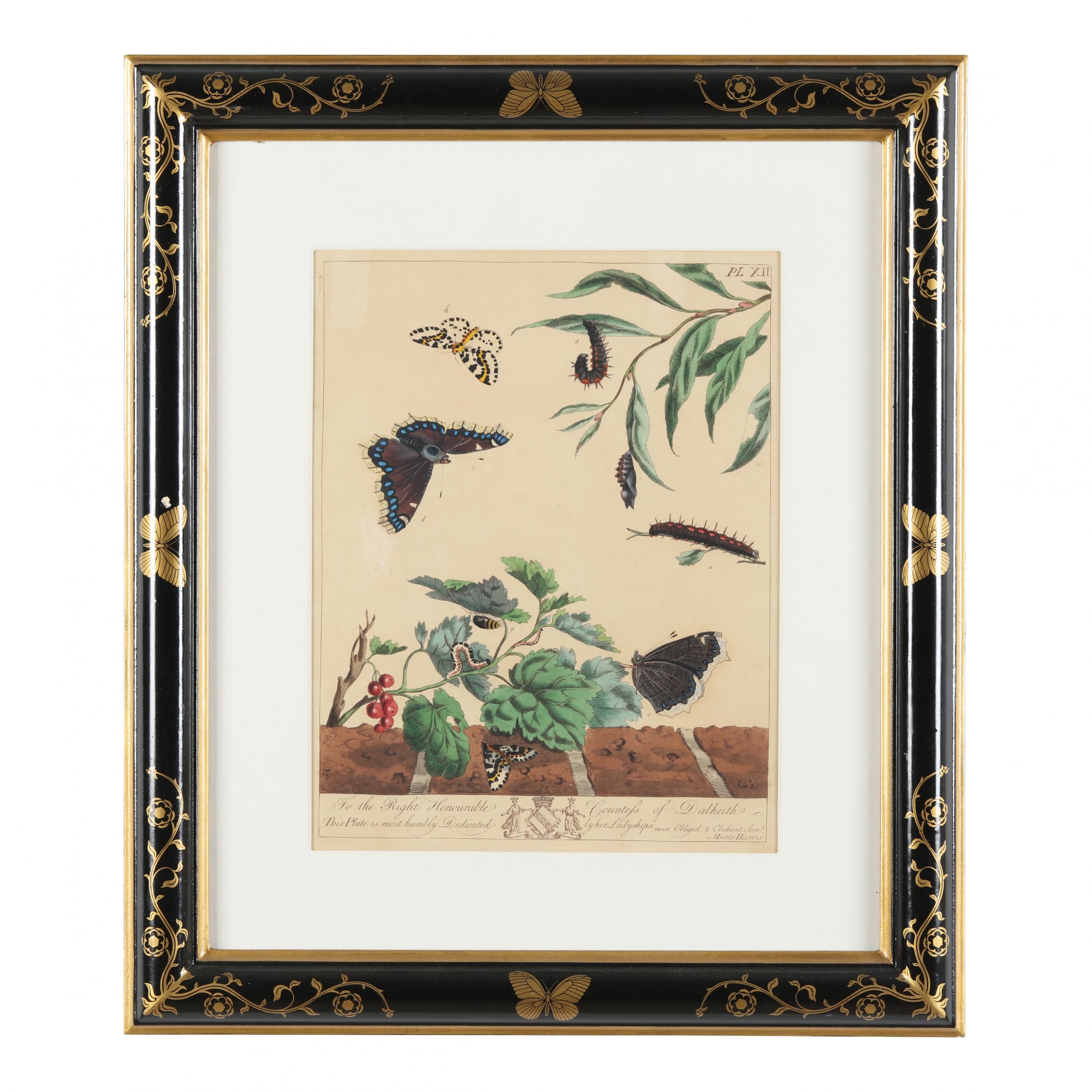 Moses Harris | Six Plates from The Aurelian, A Natural History of ...