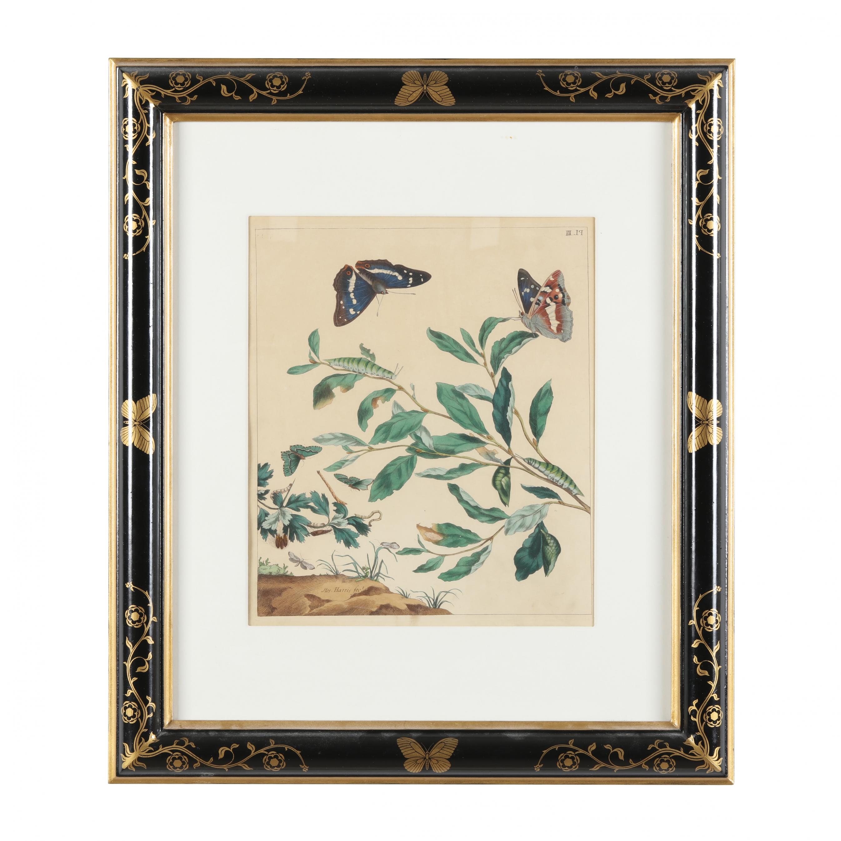 Moses Harris | Six Plates from The Aurelian, A Natural History of ...