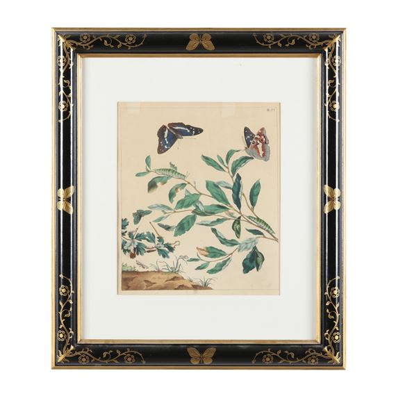 Moses Harris | Six Plates from The Aurelian, A Natural History of ...