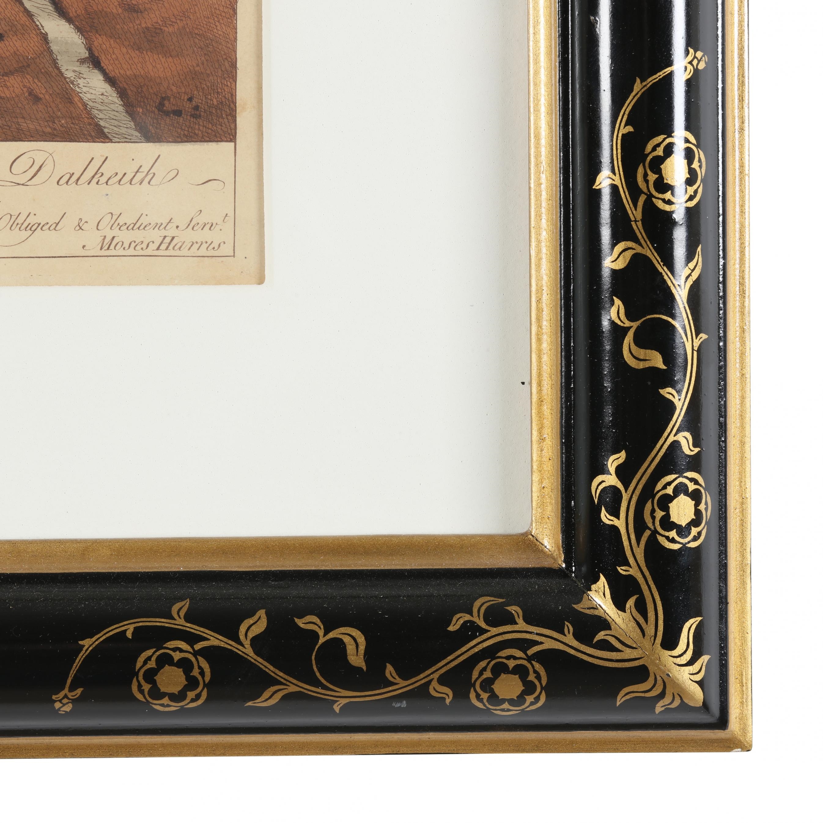 Moses Harris | Six Plates from The Aurelian, A Natural History of ...