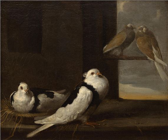 Central European School, 18th Century | Pigeons by the window | MutualArt
