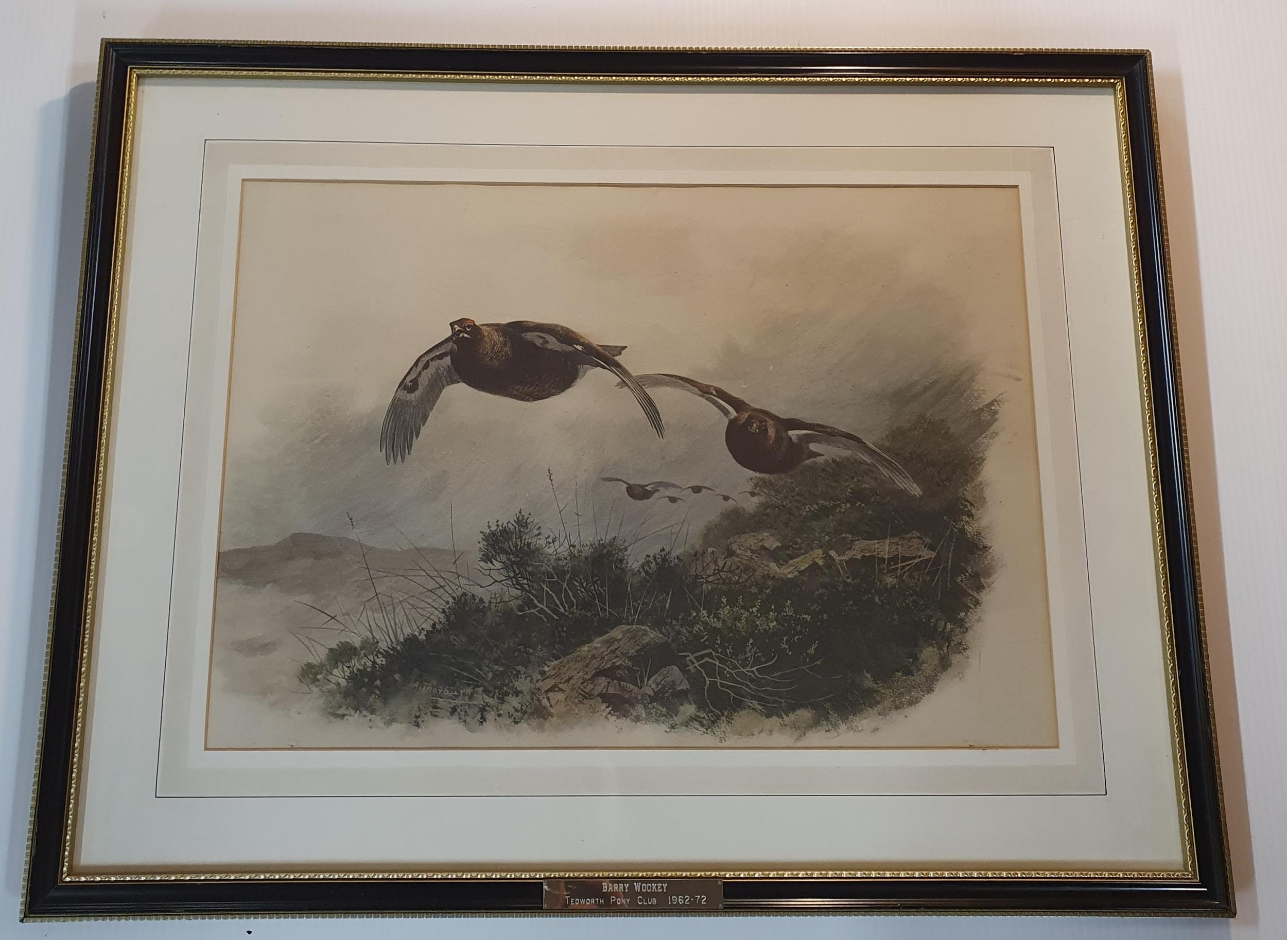 Archibald Thorburn | After Archibald Thorburn a good print of grouse in ...