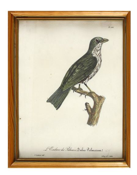 Gottfried Engelmann | Vögel. (1825) | MutualArt