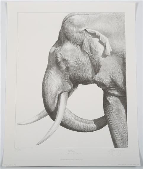 Gary Hodges | Old Tusker | MutualArt