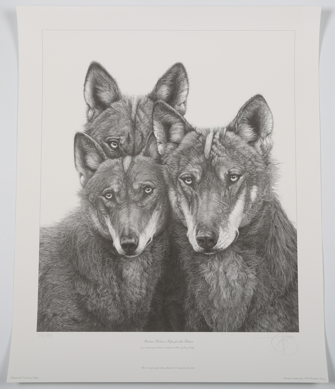 Gary Hodges | Iberian Wolves - Hope for the Future | MutualArt