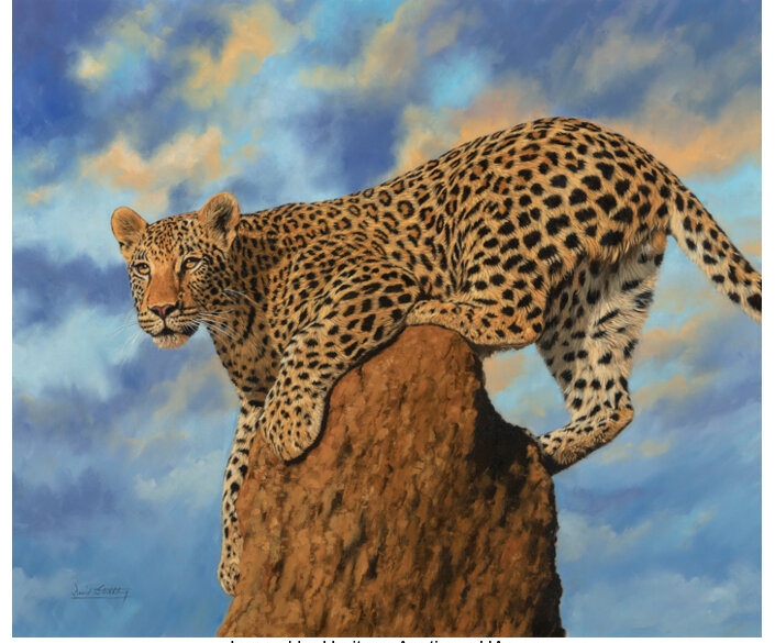 David Stribbling | Jaguar | MutualArt