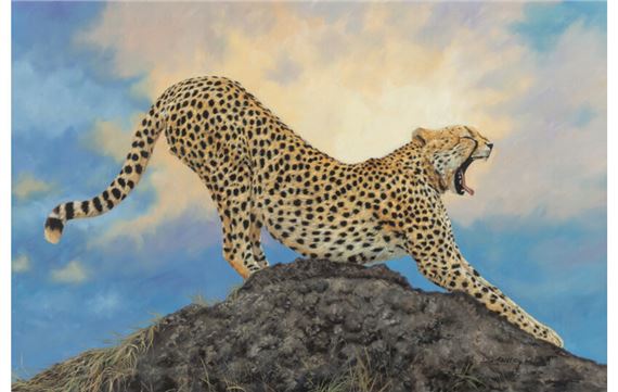 David Stribbling | Cheetah | MutualArt