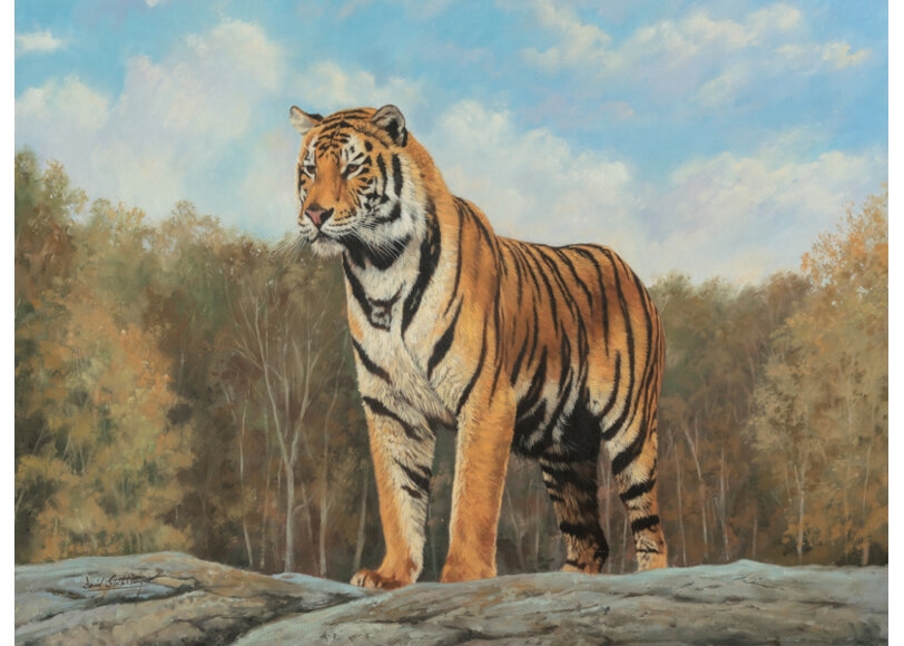 David Stribbling | Standing Tiger | MutualArt
