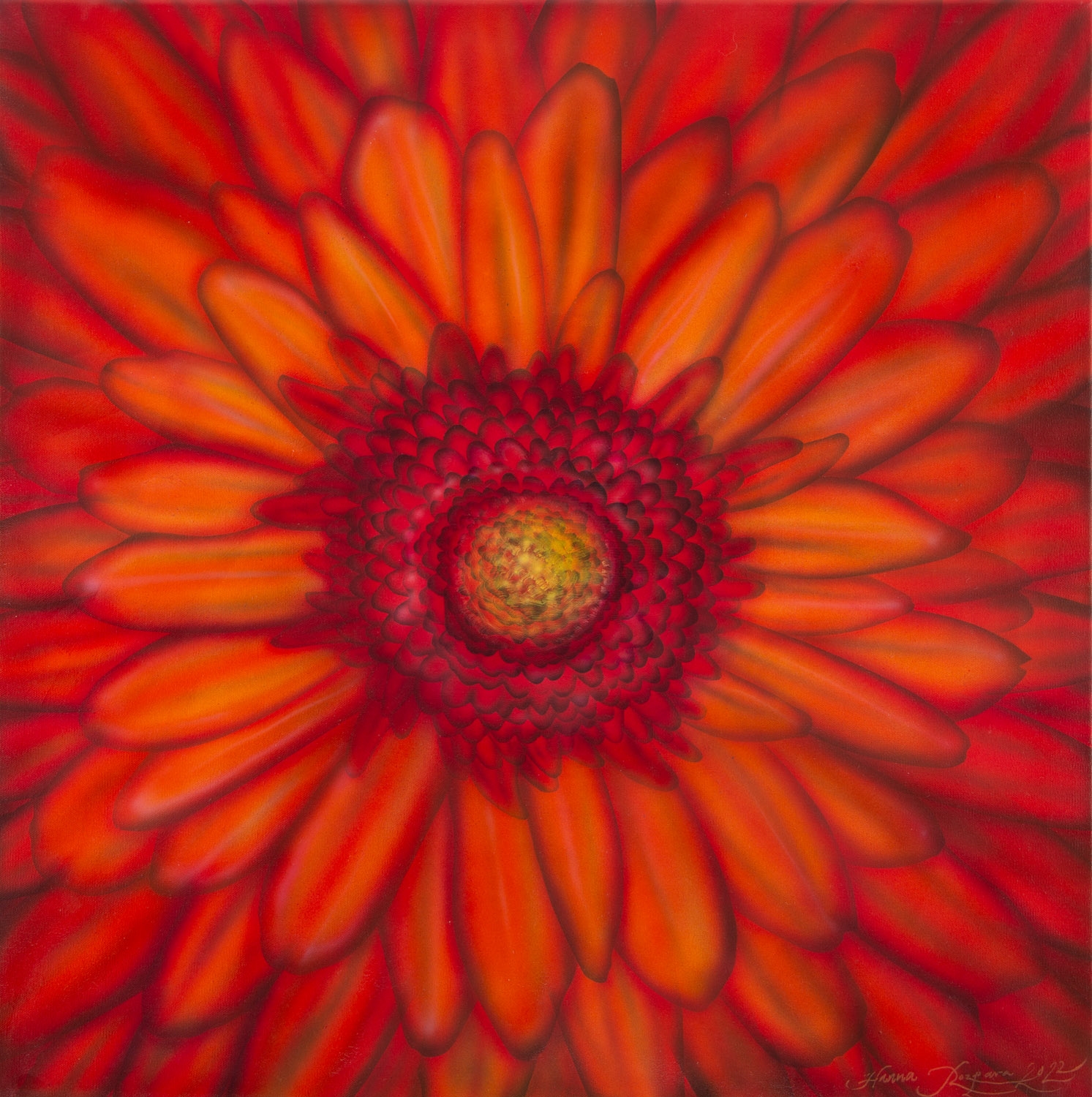 Hanna Rozpara | Gerbera (2022) | MutualArt
