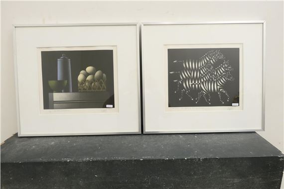 Mario Avati | Des oeufs en décembre; Des zèbres de toutes les couleurs ...