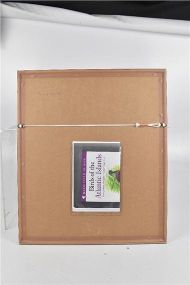 Chris Orgill | Birds of the Atlantic Islands | MutualArt