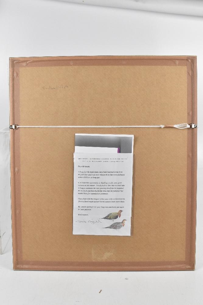 Chris Orgill | Birds of the Atlantic Islands | MutualArt