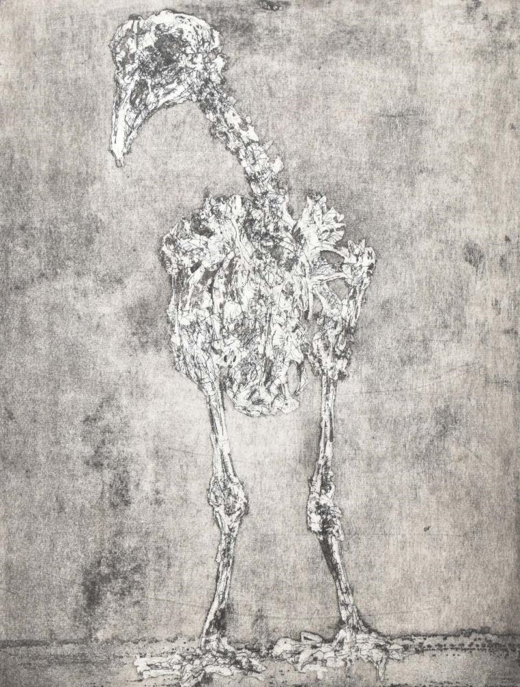 Philip Rushworth | 'Rook Skeleton' (98) | MutualArt