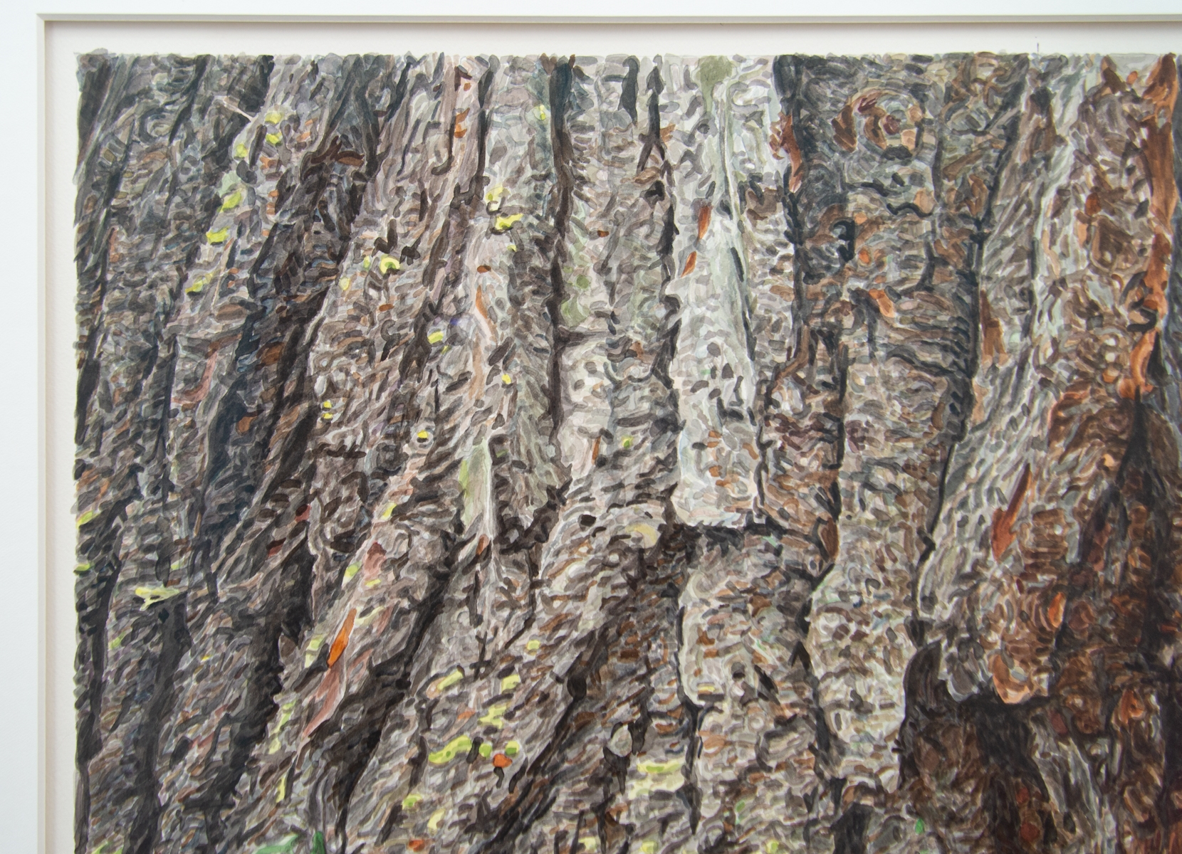 Robert Wiens | White Pine | MutualArt