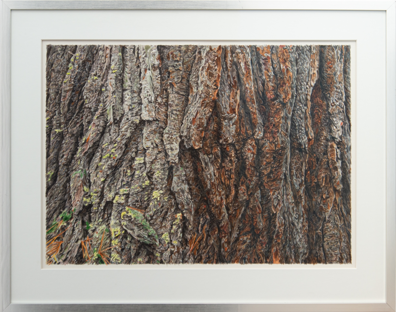 Robert Wiens | White Pine | MutualArt