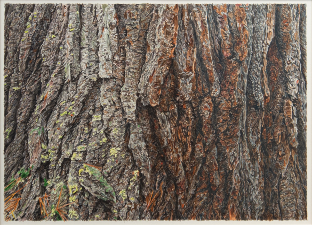 Robert Wiens | White Pine | MutualArt