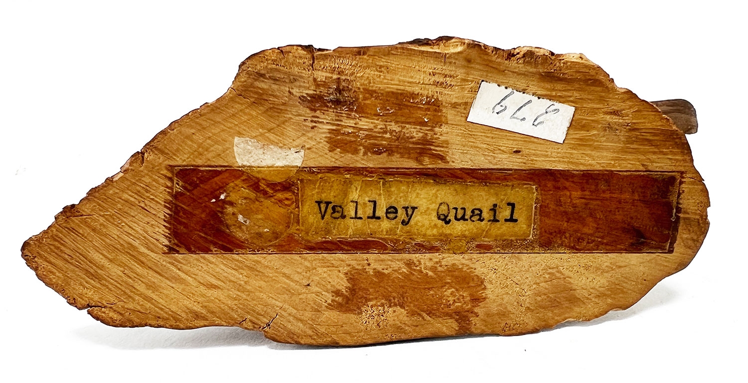 Allen King | MINIATURE GROUSE FAMILY | MutualArt