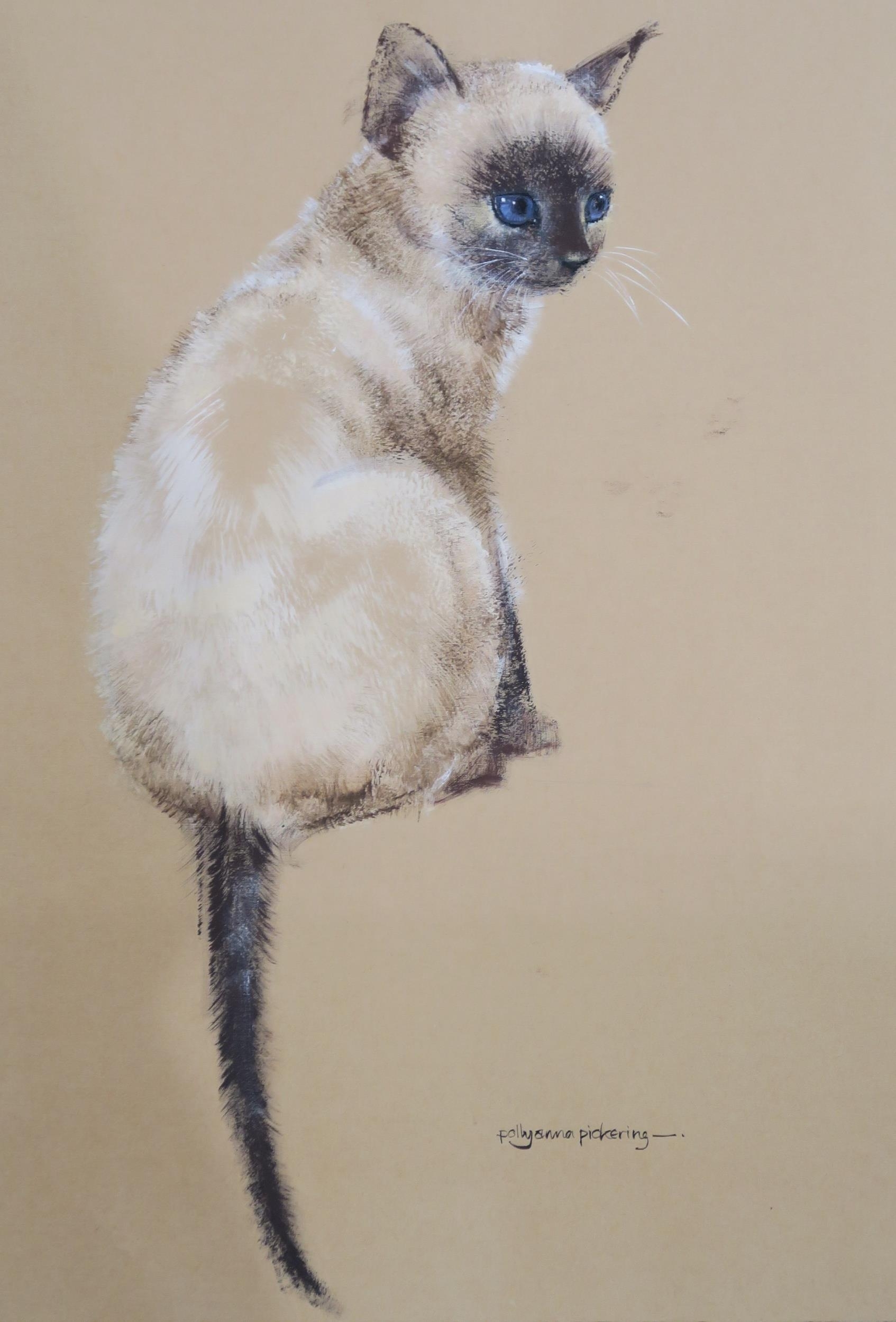 Pollyanna Pickering | SIAMESE CAT | MutualArt
