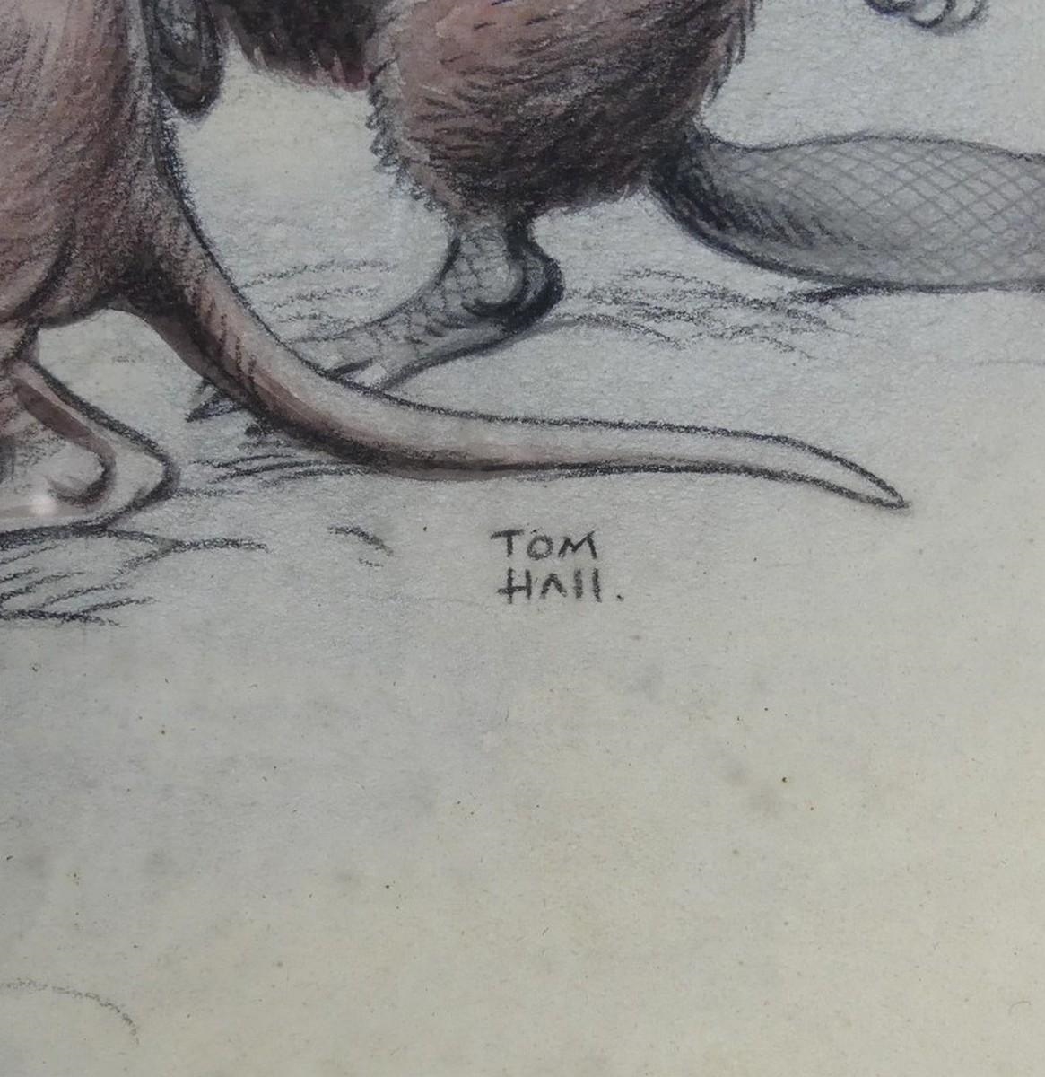 Tom Hall | TOM HALL ILLUSTRATION | MutualArt