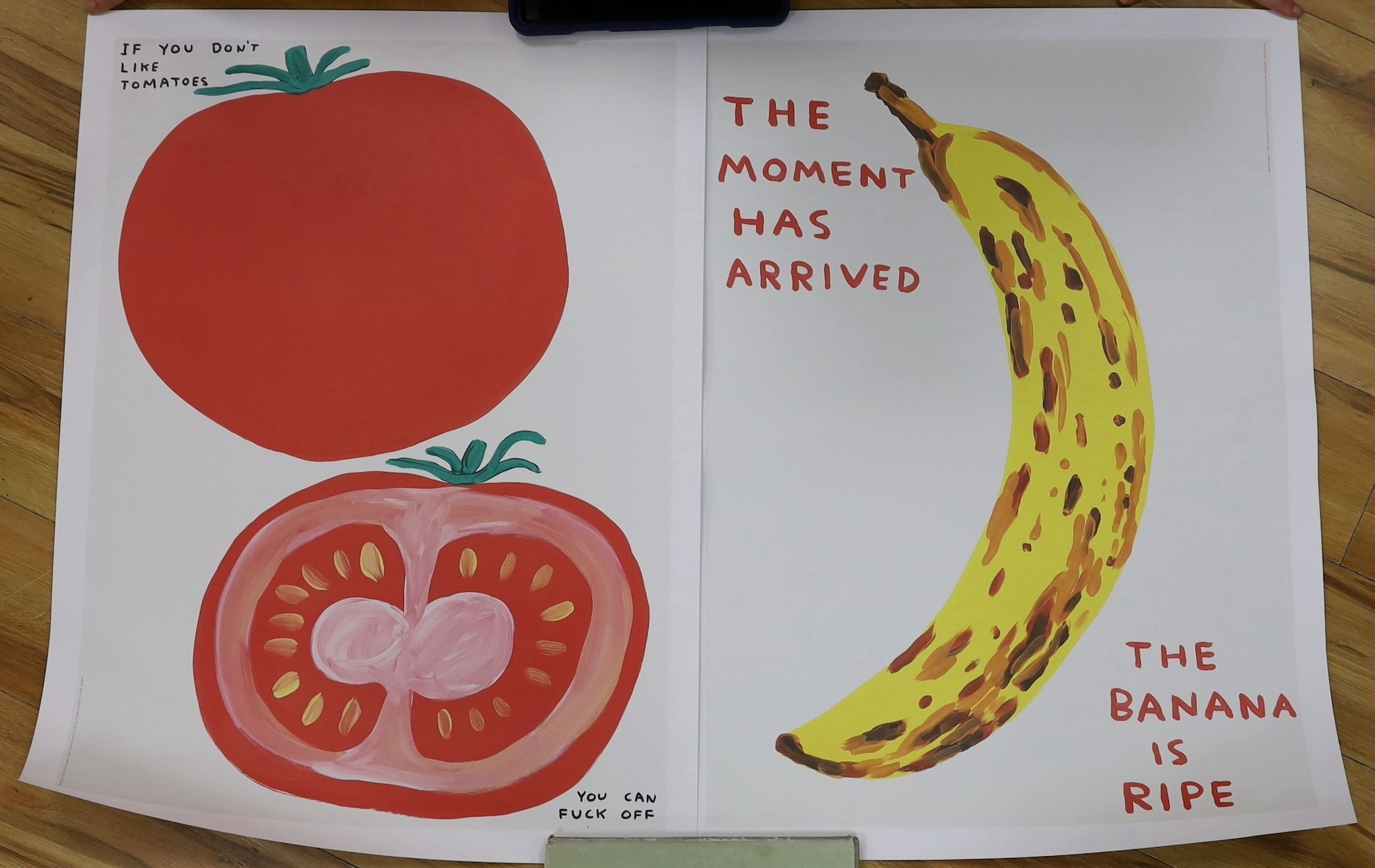 David Shrigley | 'If you don't like tomatoes' and 'The moment has ...