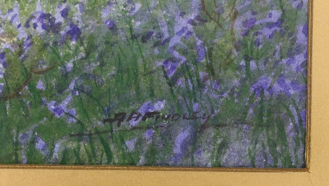 Albert H. Findley | Bluebell Woods | MutualArt