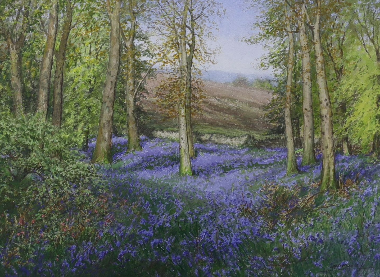 Albert H. Findley | Bluebell Woods | MutualArt