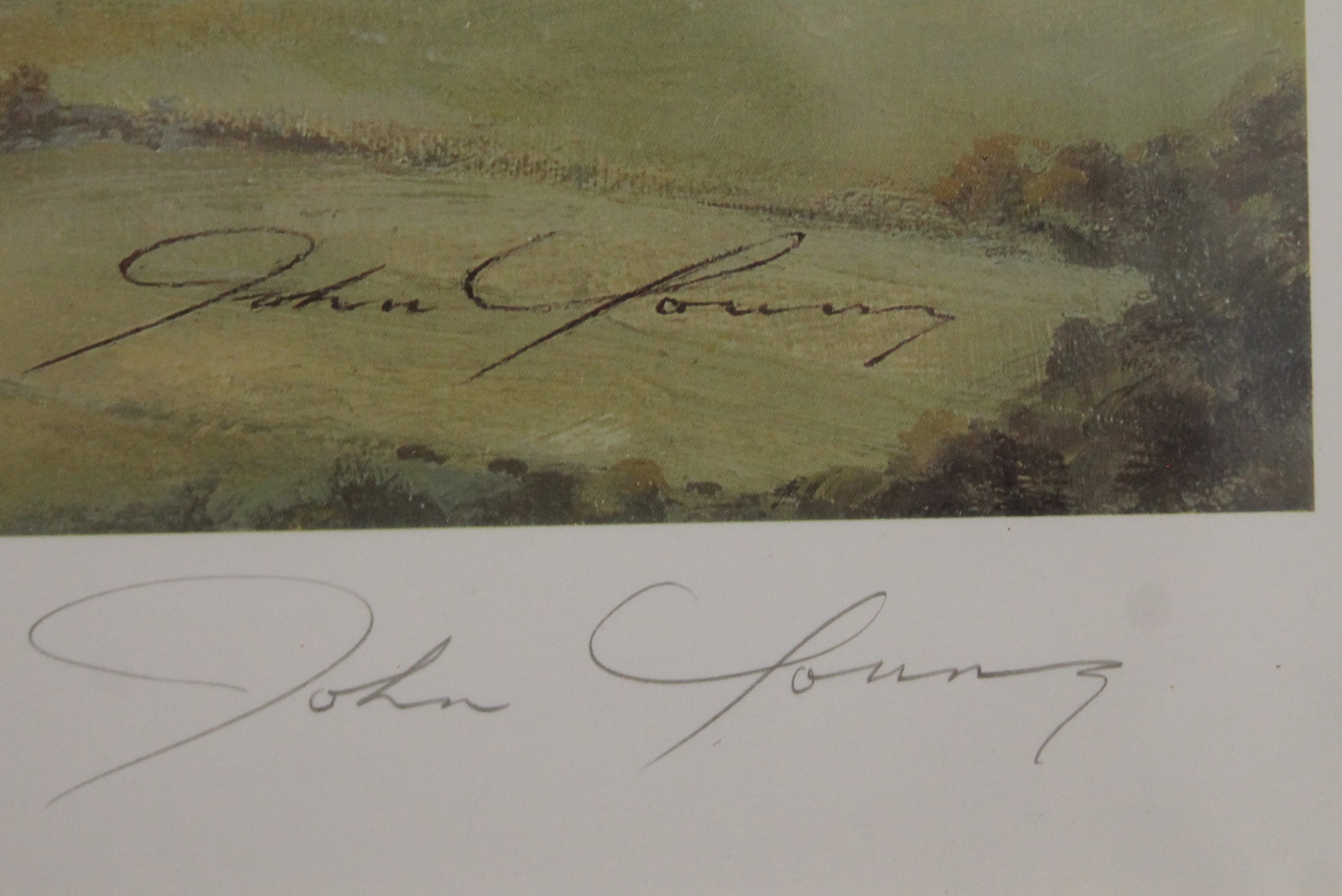 John Young | A Bold Leap | MutualArt