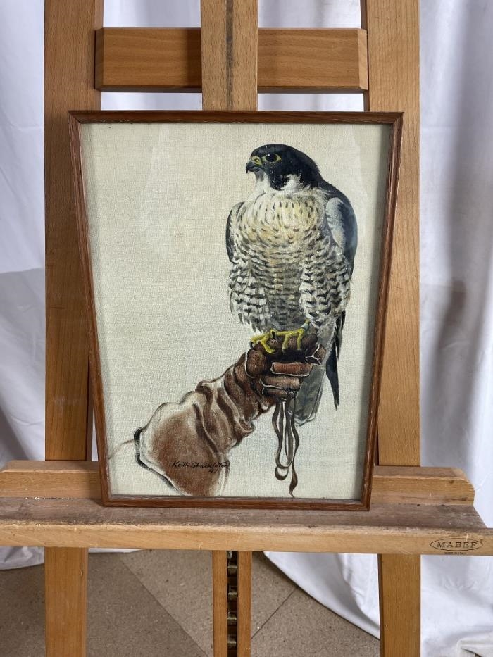Keith Shackleton | A Hawk | MutualArt