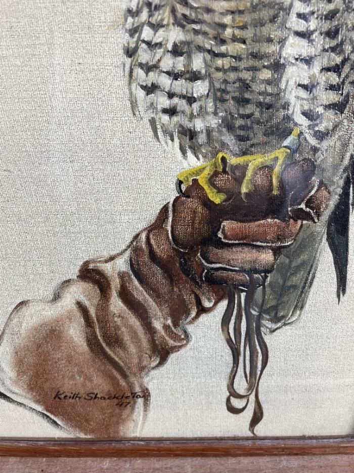Keith Shackleton | A Hawk | MutualArt