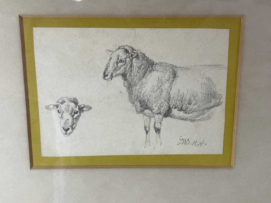 James Ward | 1859) pencil sketch of sheep | MutualArt