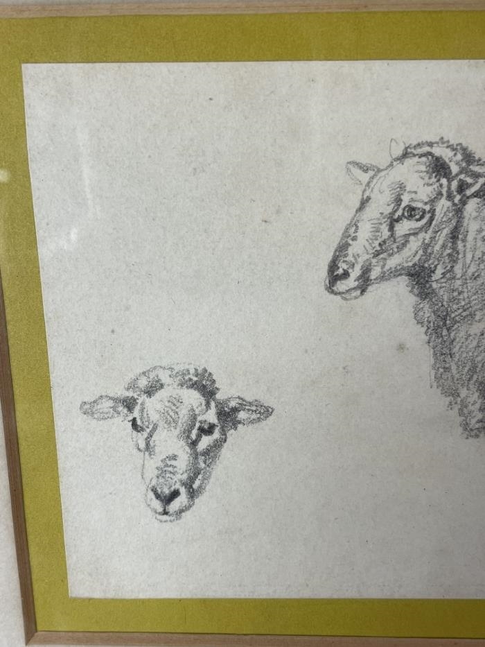 James Ward | 1859) pencil sketch of sheep | MutualArt