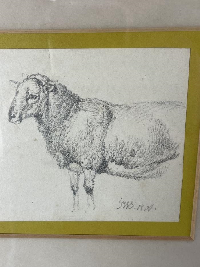 James Ward | 1859) pencil sketch of sheep | MutualArt