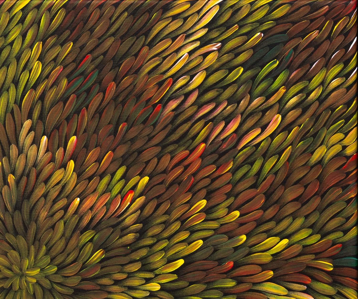 Cherolyn Gibson Nampijinpa | Bush Medicine | MutualArt