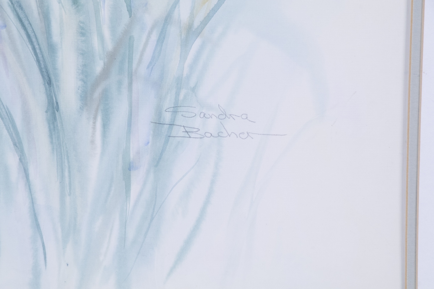 Sandra Bacher | Irises | MutualArt