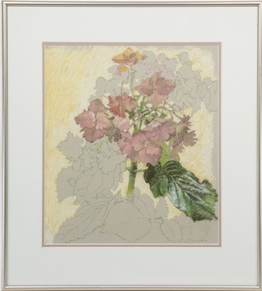 AMY POLLIEN | Biography