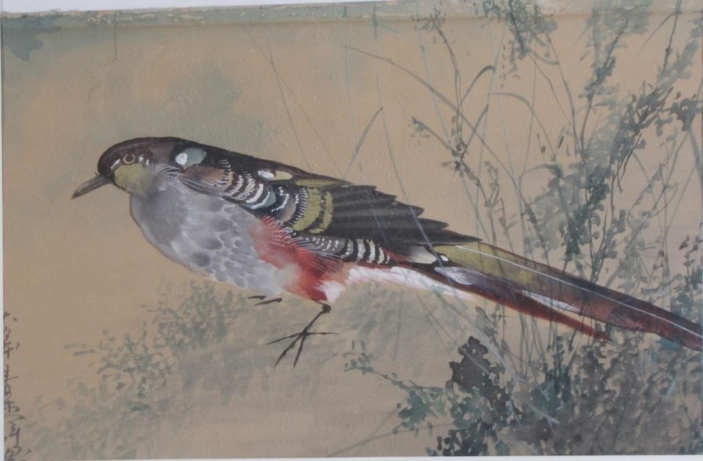 Toshio Aoki | Aoki Toshio 18x12 WC Bird on Branch | MutualArt
