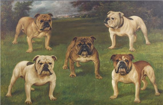 E.S. England | A Study of British Bulldogs, with Roundhay Park, Leeds ...