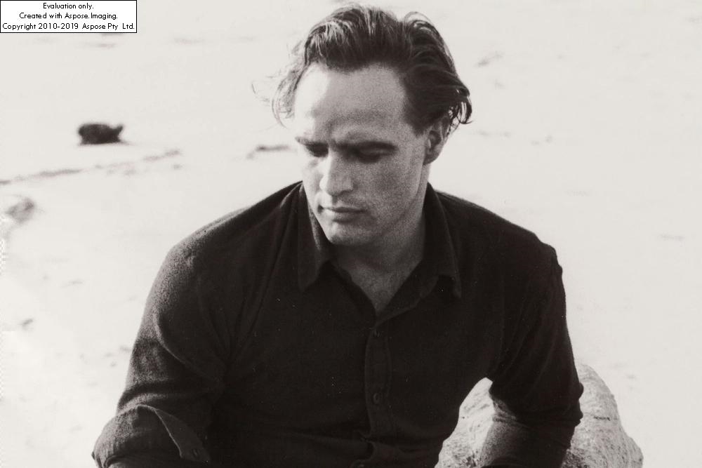 Sam Shaw | Marlon Brando (1959 - 2006) | MutualArt