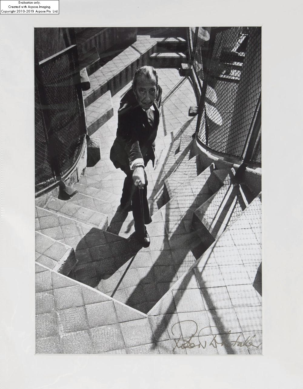 Robert Whitaker | Salvador Dali | MutualArt