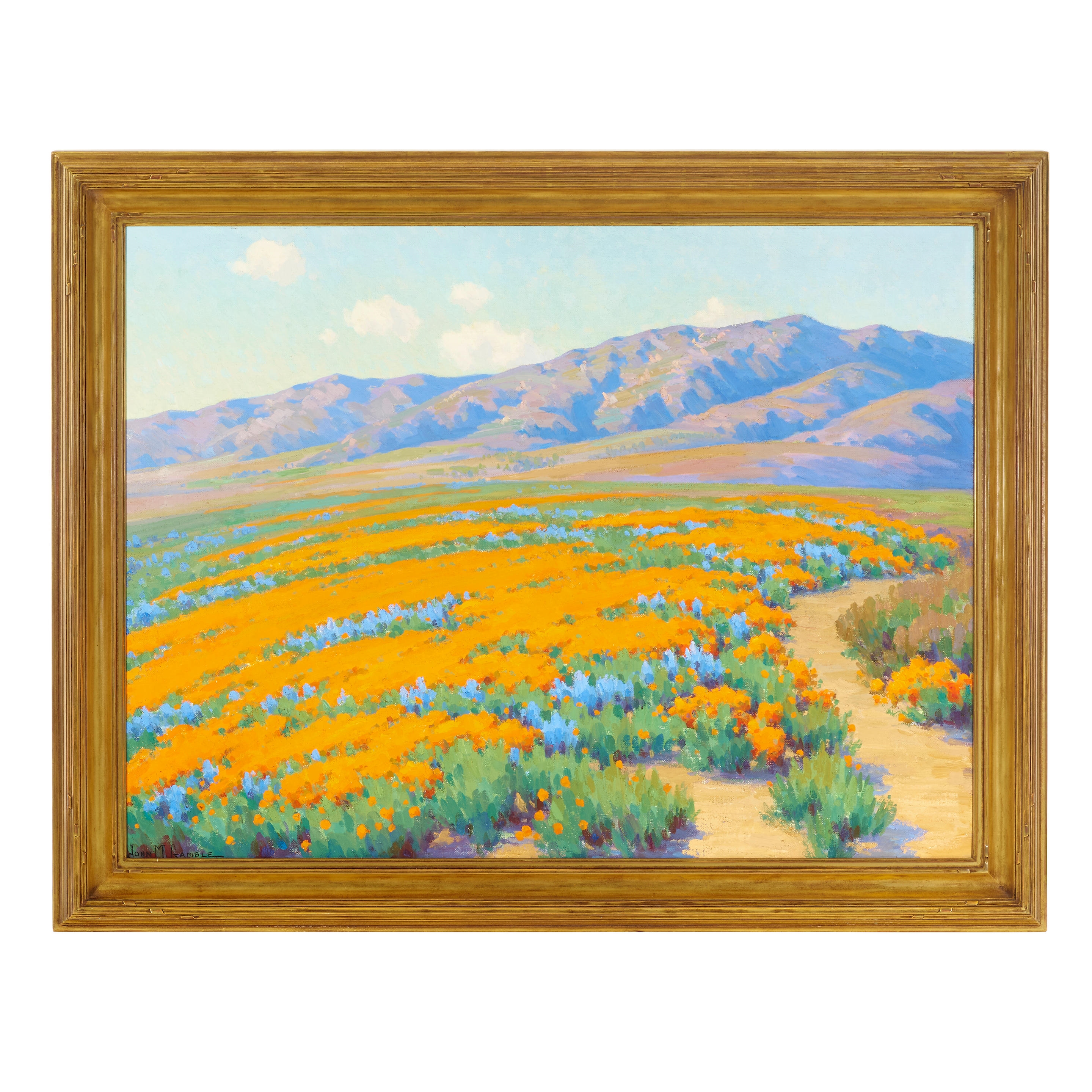 John Gamble | California Wildflowers | MutualArt
