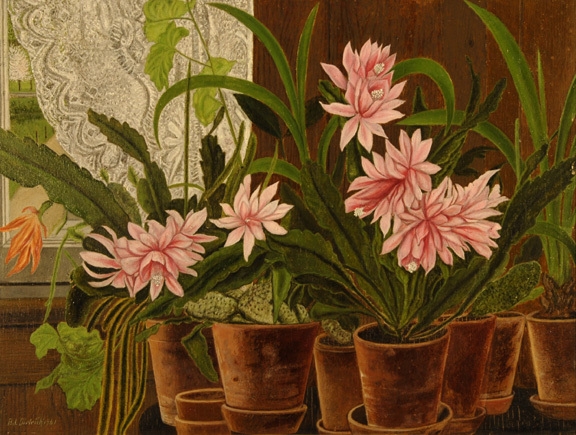 Adolf Dietrich | Rosa Kakteen am Fenster (1941) | MutualArt